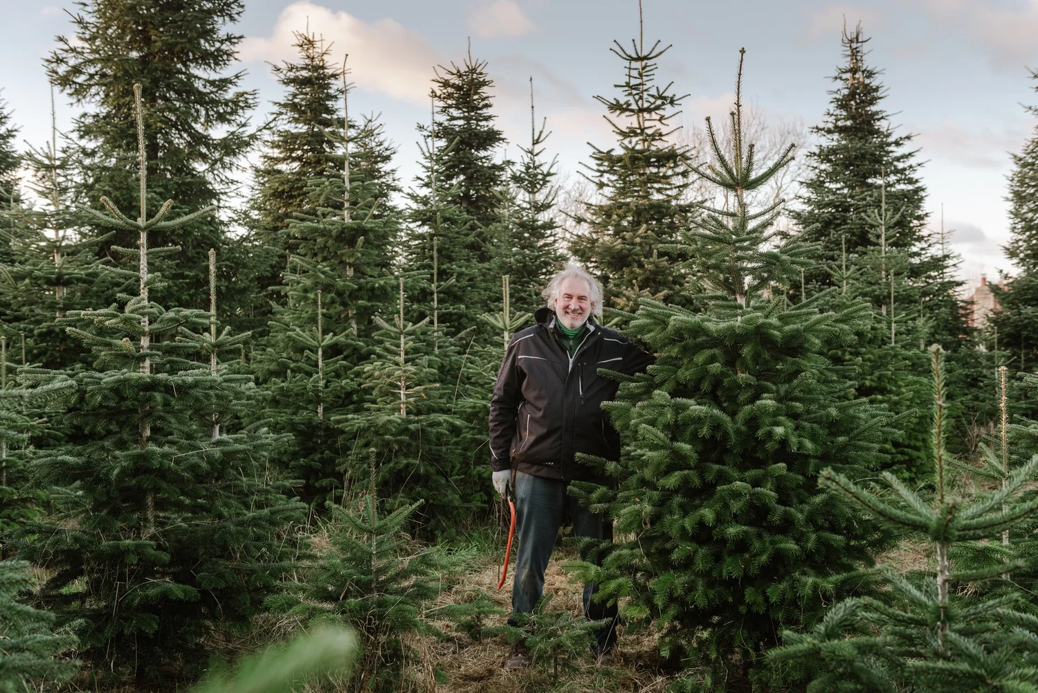 Snowbird Christmas Tree Farm