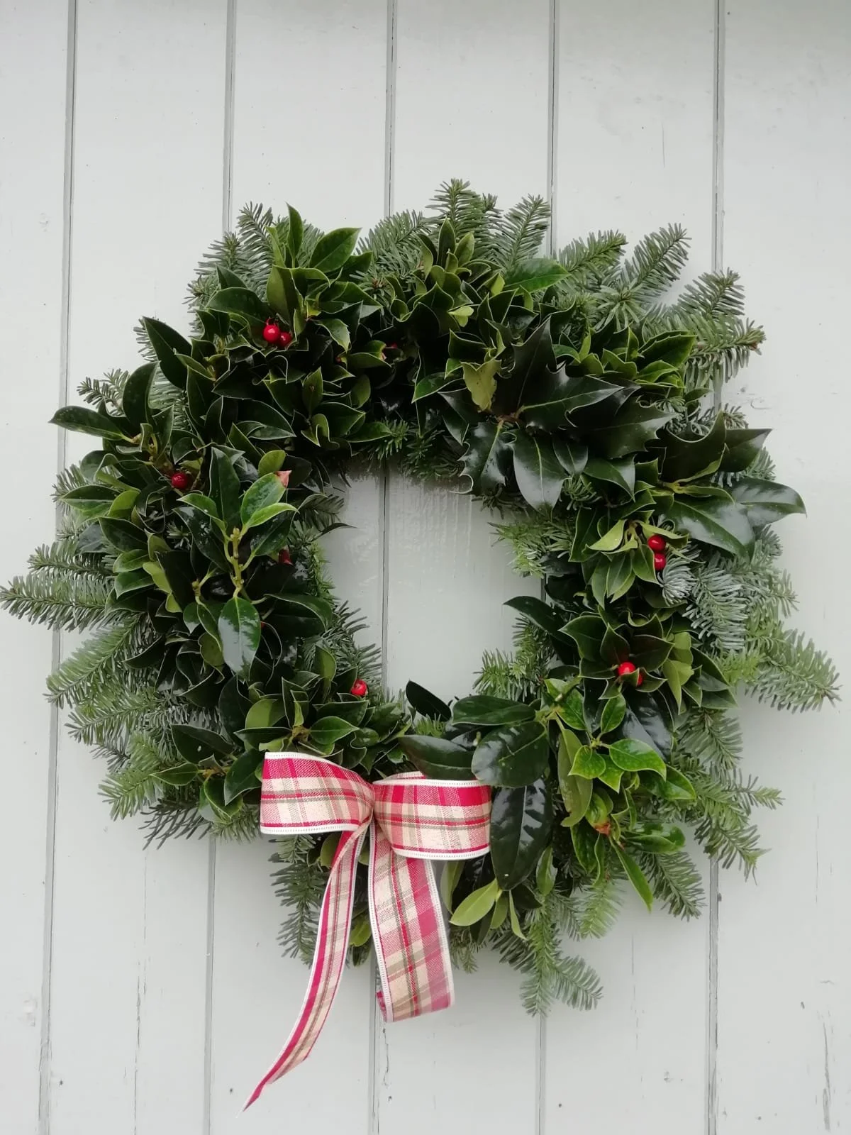 Our Farm — Snowbird Christmas Tree Farm