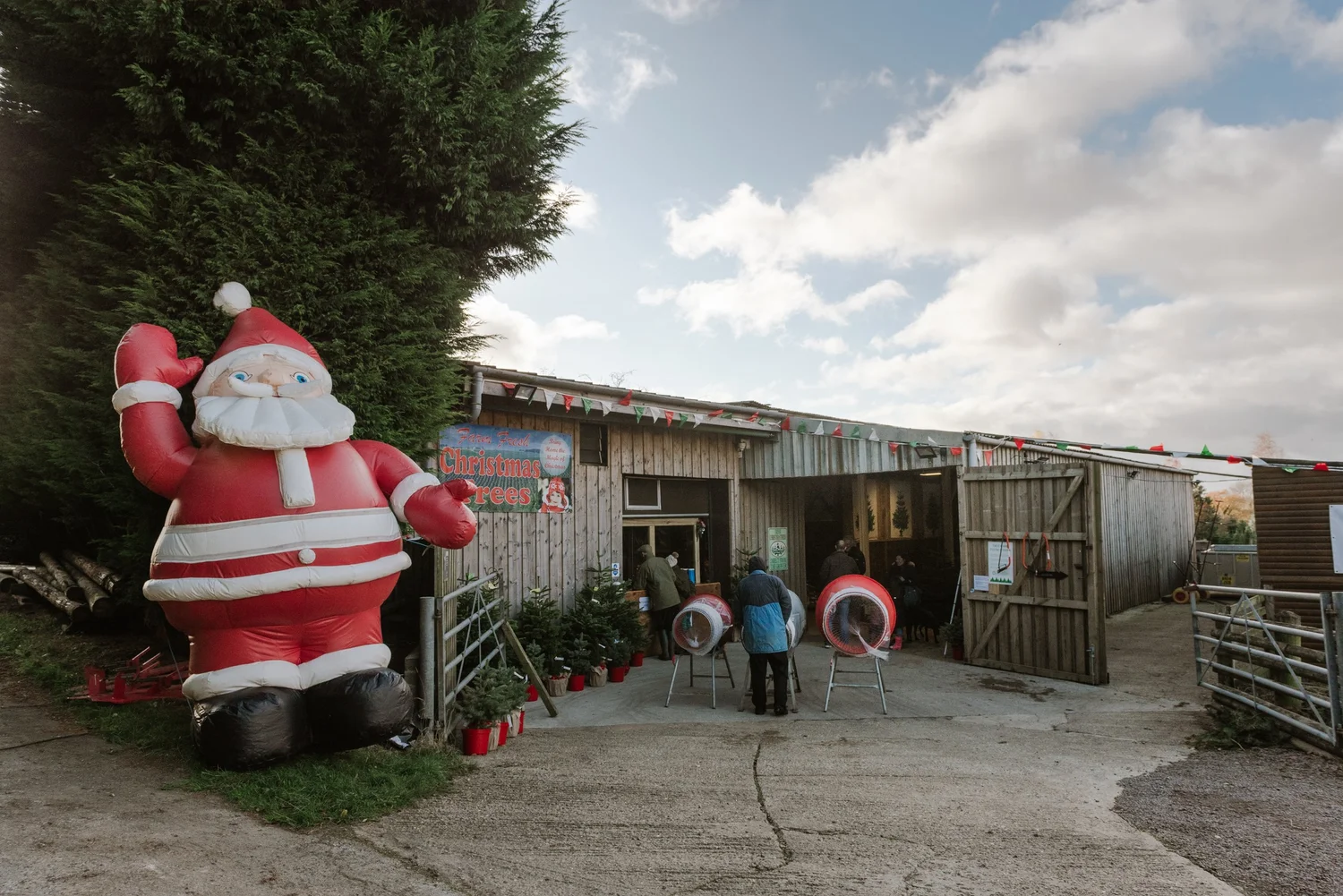 Gallery — Snowbird Christmas Tree Farm