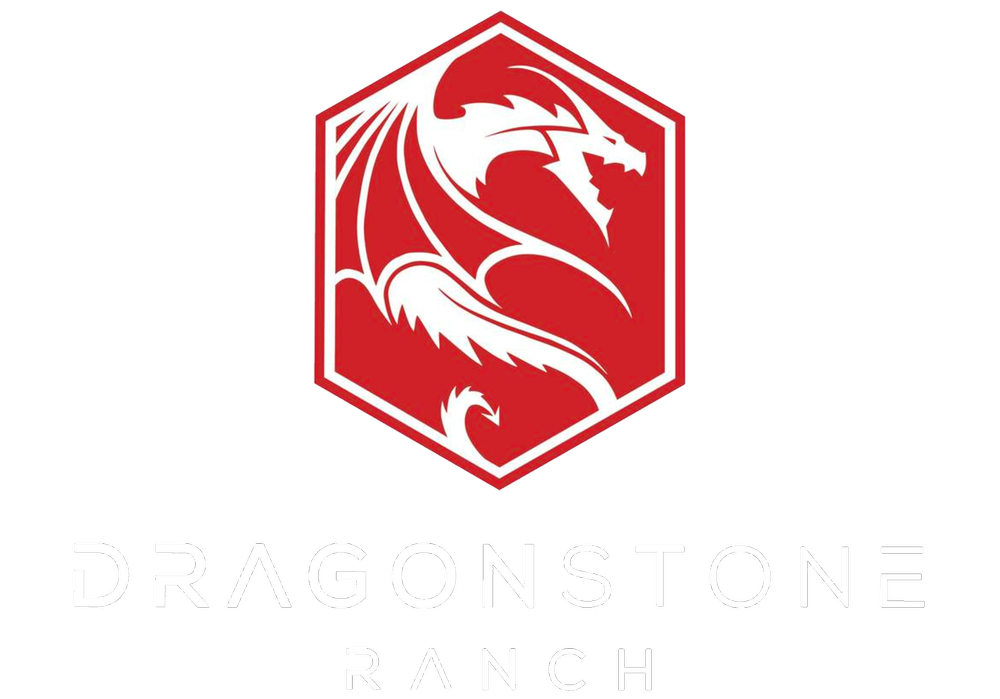 Baby ‎Hedgehogs | Hedgehog Breeder | Dragonstone Ranch