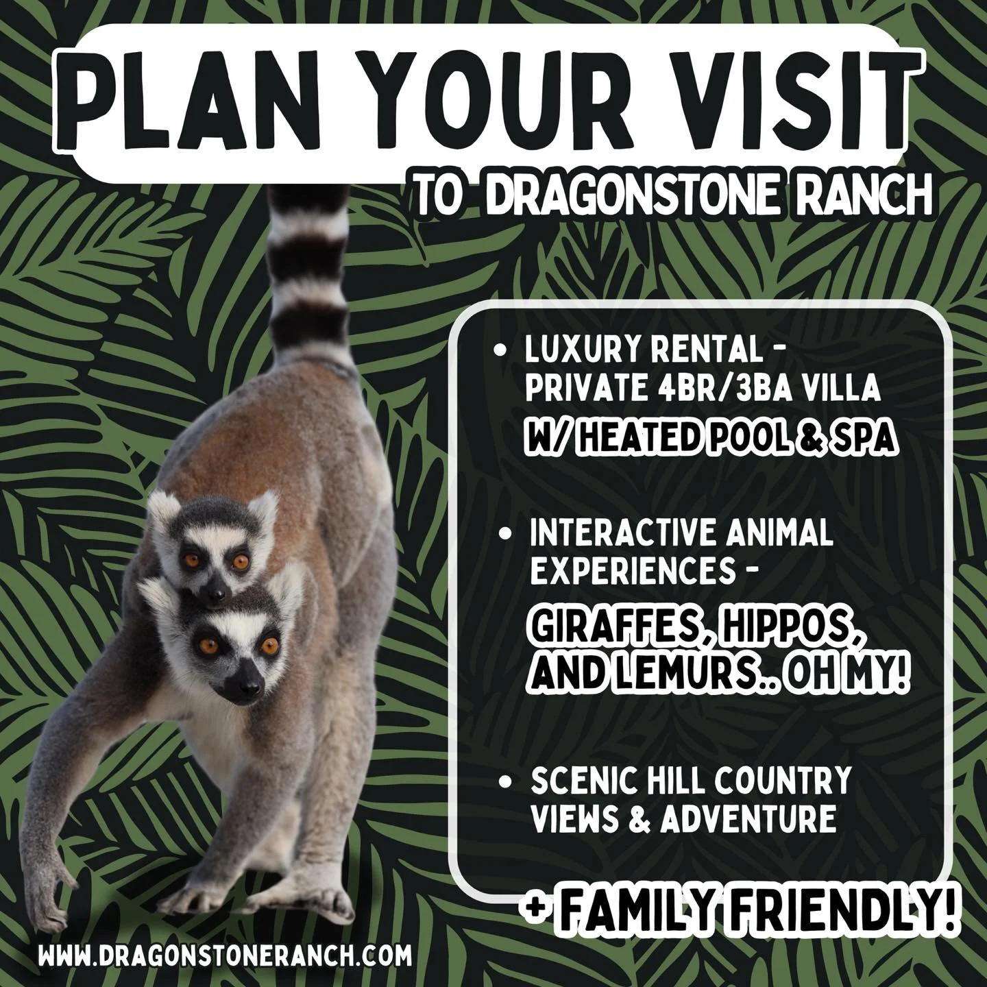 Exotic Animal Breeder in Texas | Dragonstone Ranch