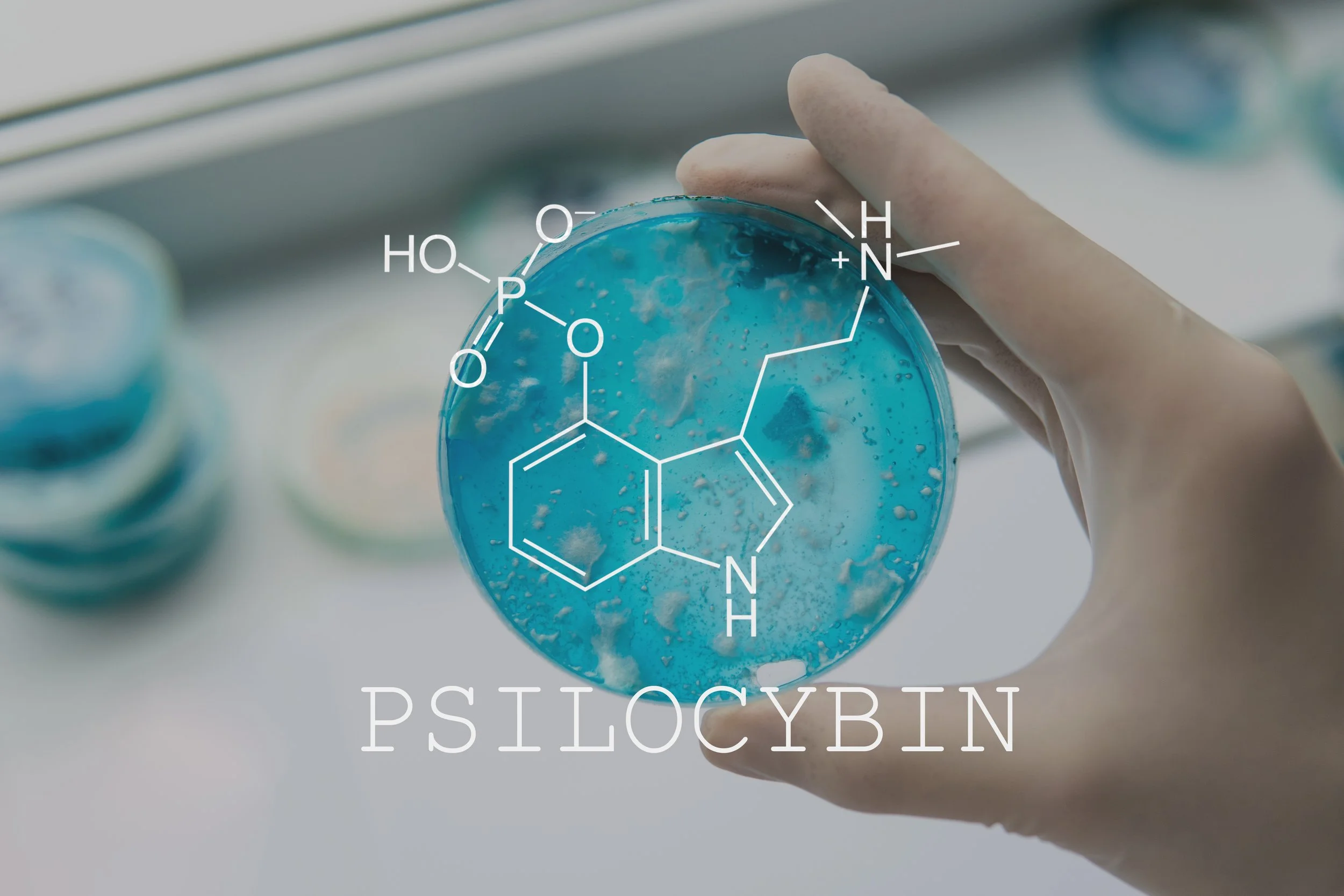 COOKING WITH MAGIC — SEISMA Magazine — Where sciences and arts collide