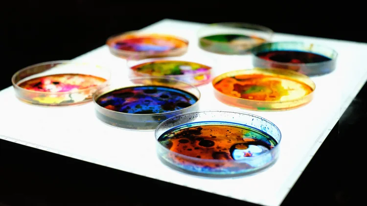 013 SPOTLIGHT: ANNE-HÉLOÏSE DAUTEL — SEISMA Magazine — Where sciences ...