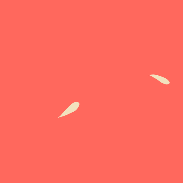 Study2022 — Evan Cooksey