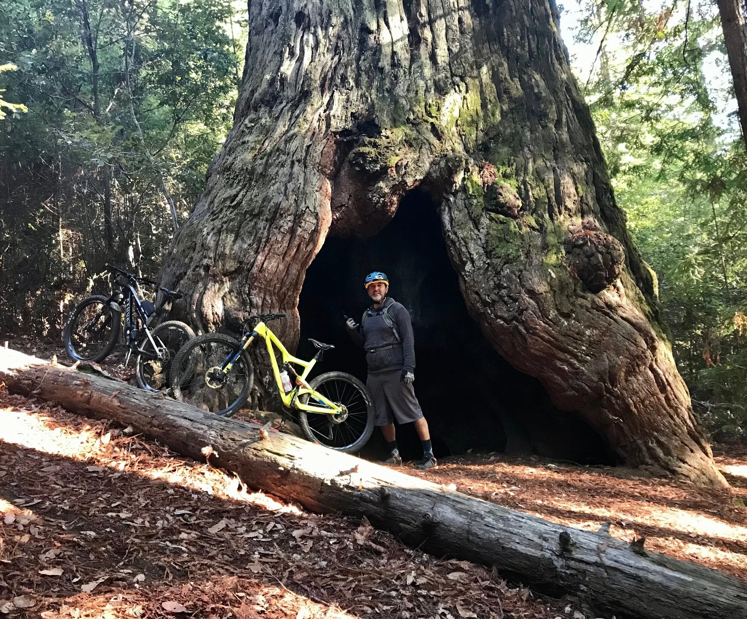 Mendocino Trail Stewards