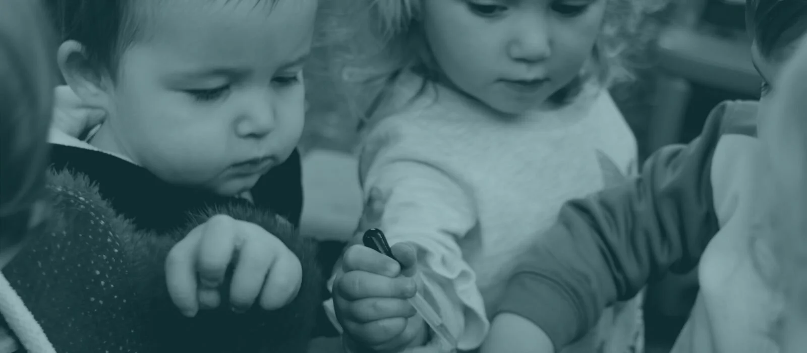 About our programs — Tree Top Academy