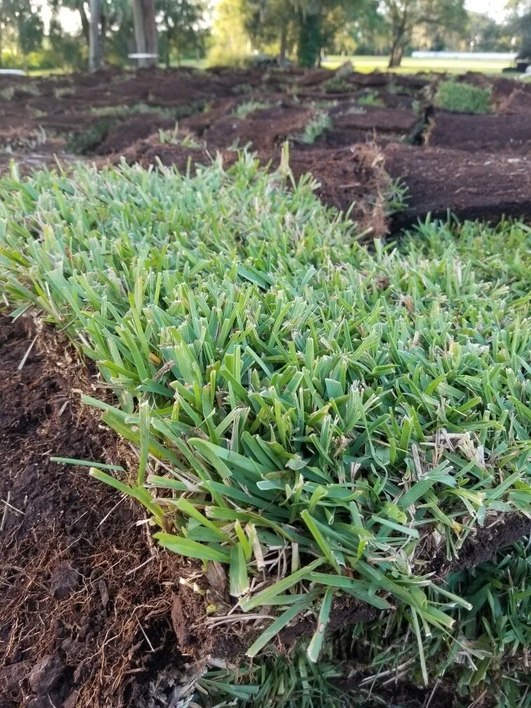 SOD INSTALLATION / LANDSCAPER/ LAWN CARE- OVIEDO - WINTER PARK - WINTER ...