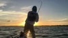 Sugarloaf Key Marina: Boat Ramp, Bait, Tackle, Boat Rental, Tours