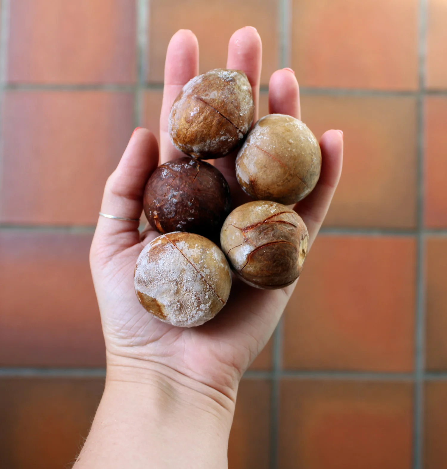Natural Dyeing with Avocado Stones — imogen melissa