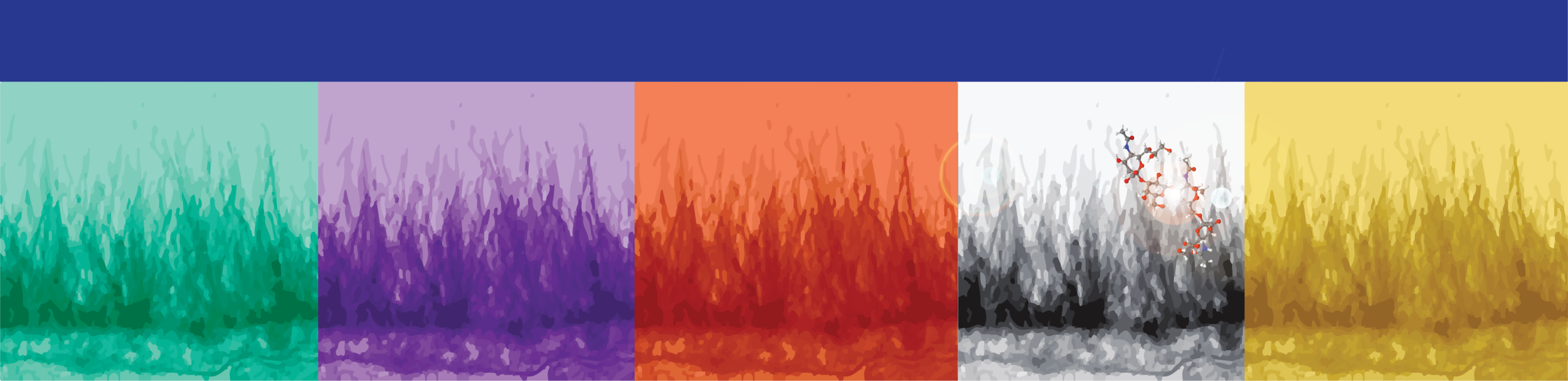 Home (Copy) (Copy) — Bertozzi Group