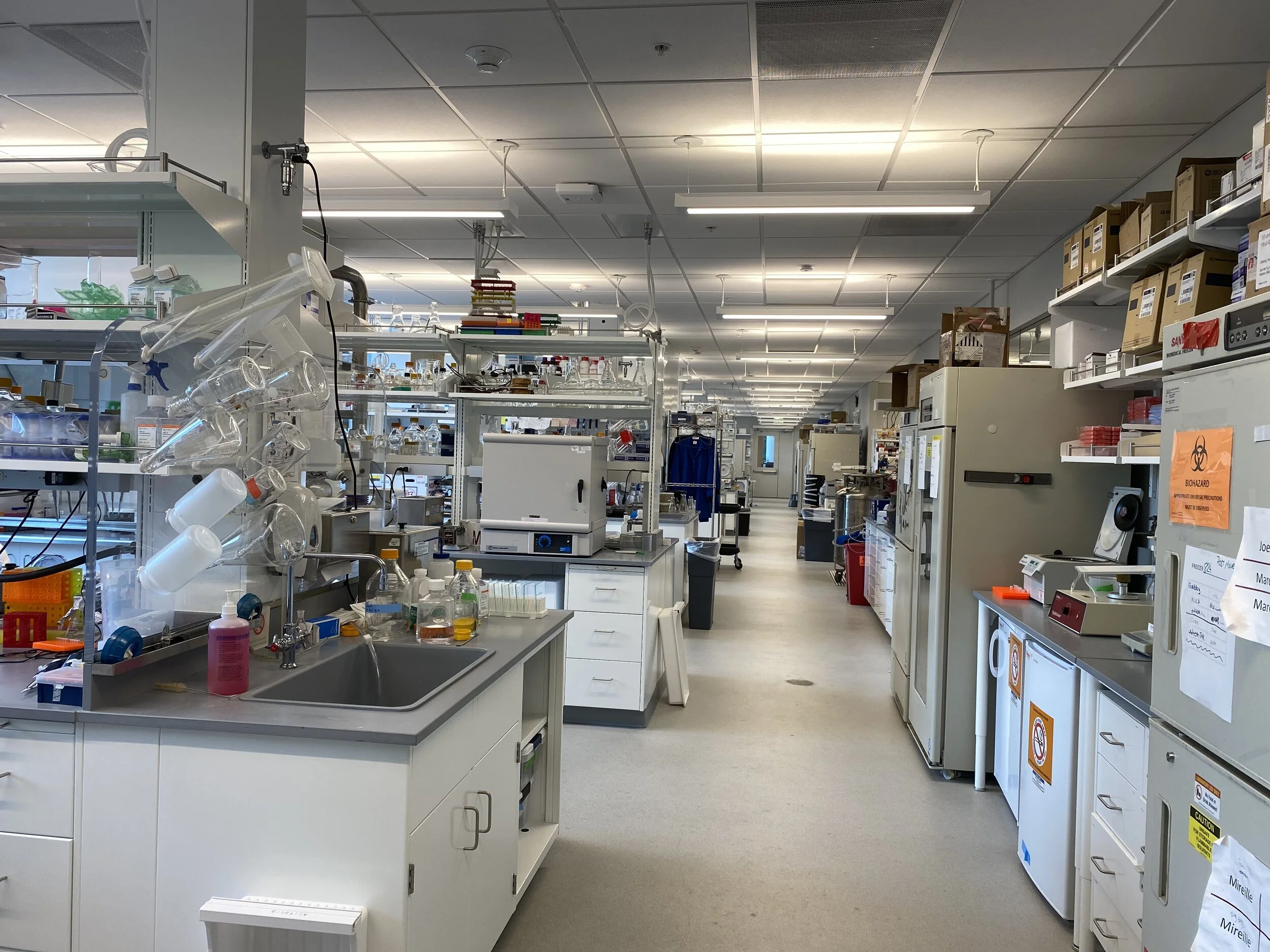 Services 1 — Bertozzi Group