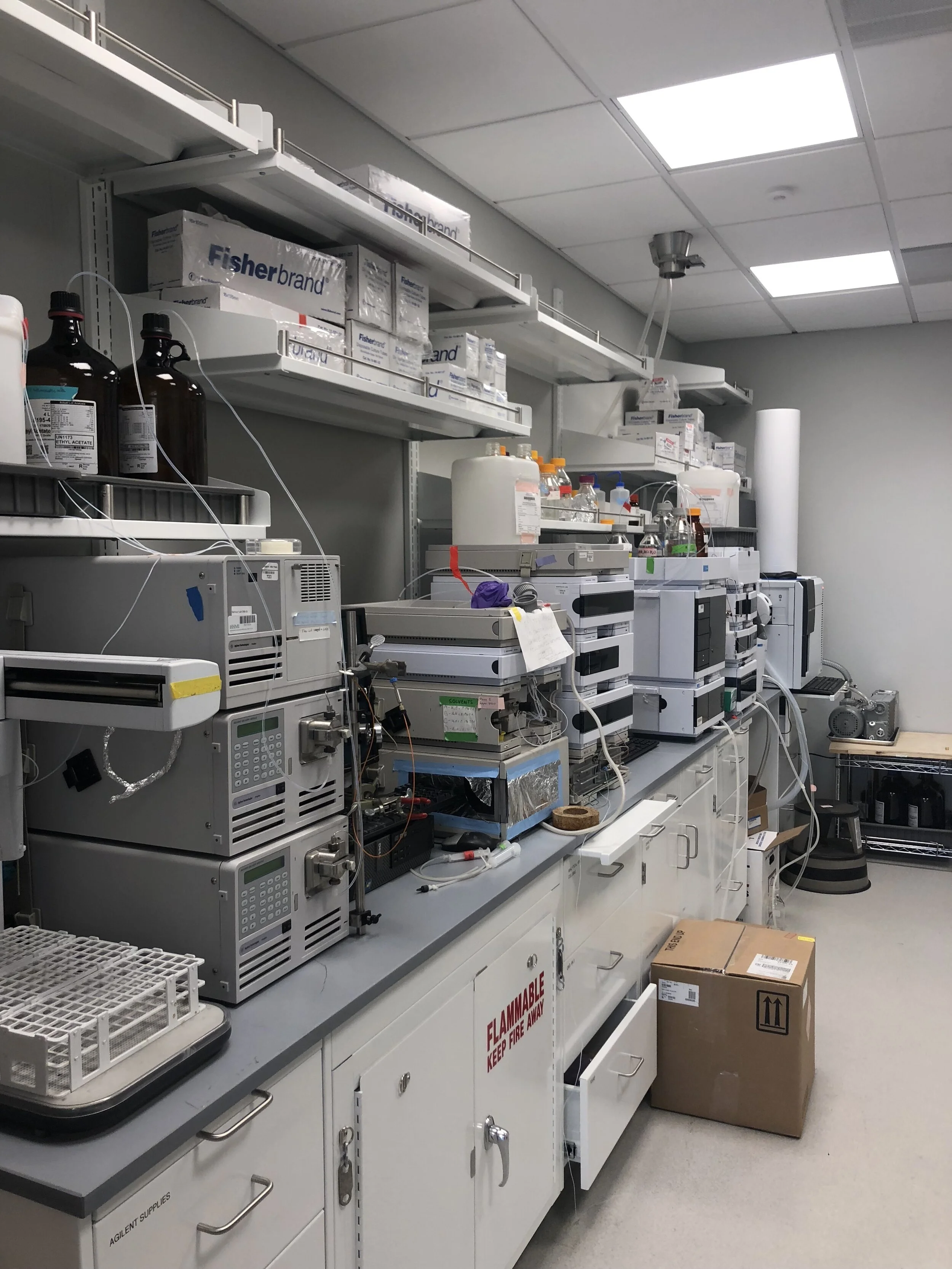 Services 1 — Bertozzi Group