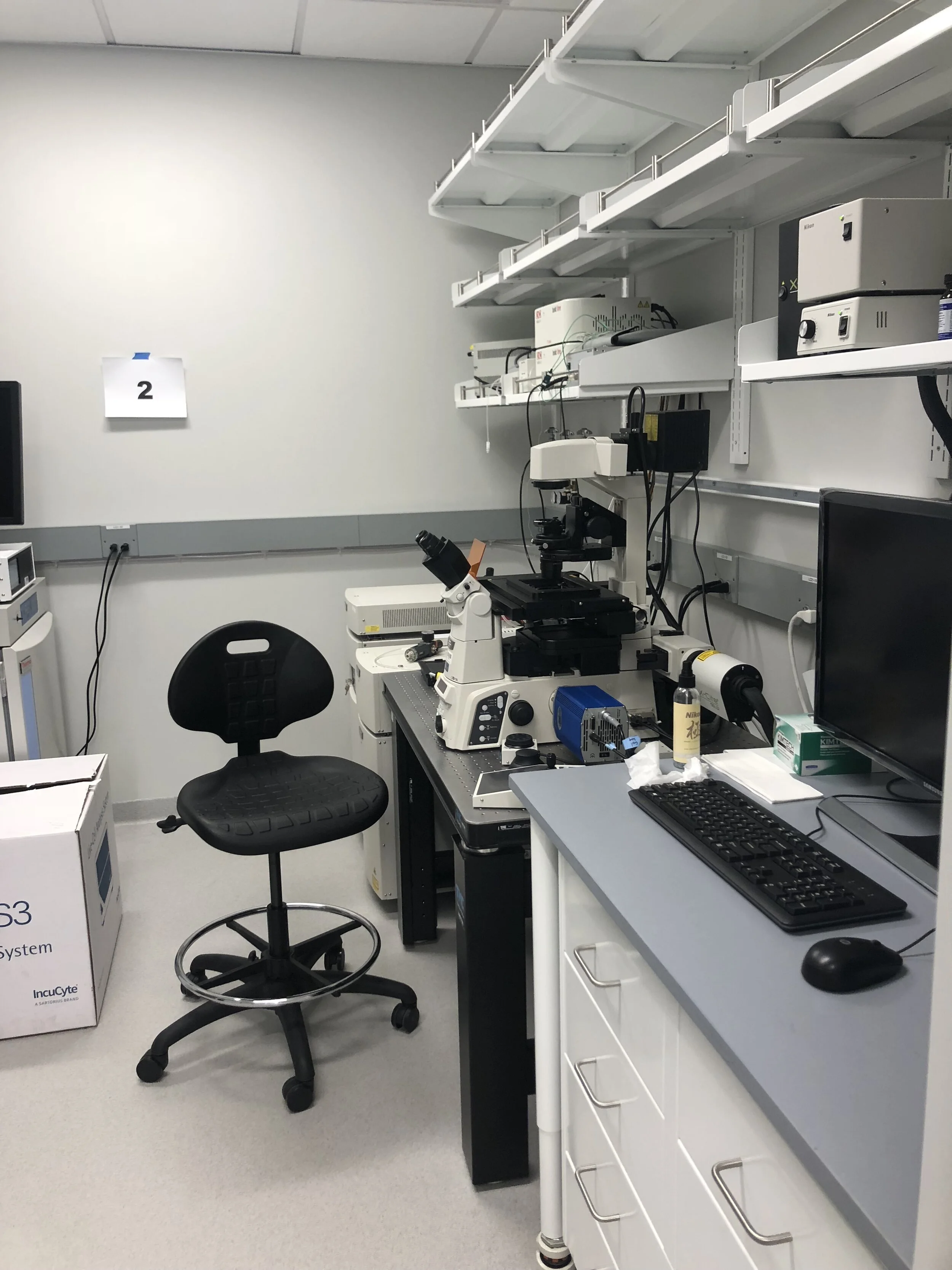 Services 1 — Bertozzi Group