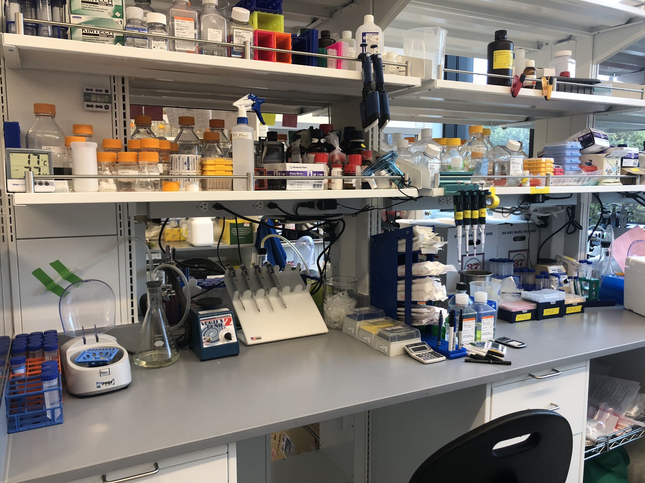 Services 1 — Bertozzi Group