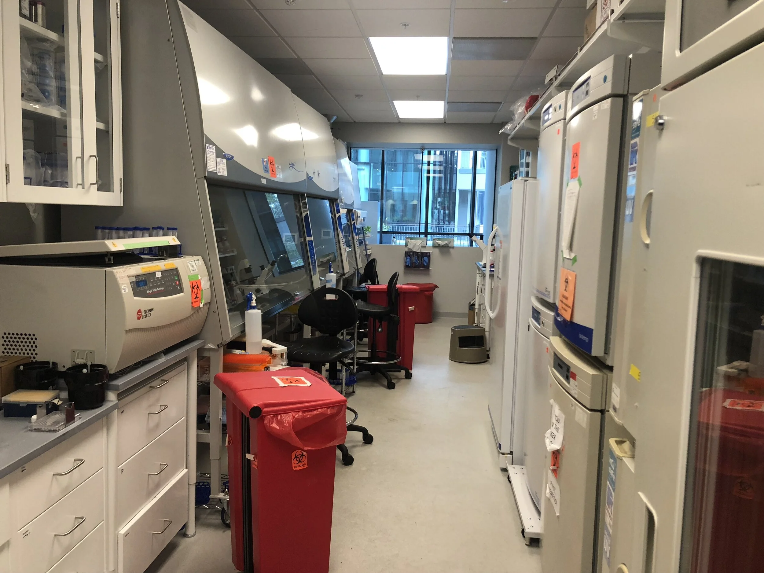 Services 1 — Bertozzi Group