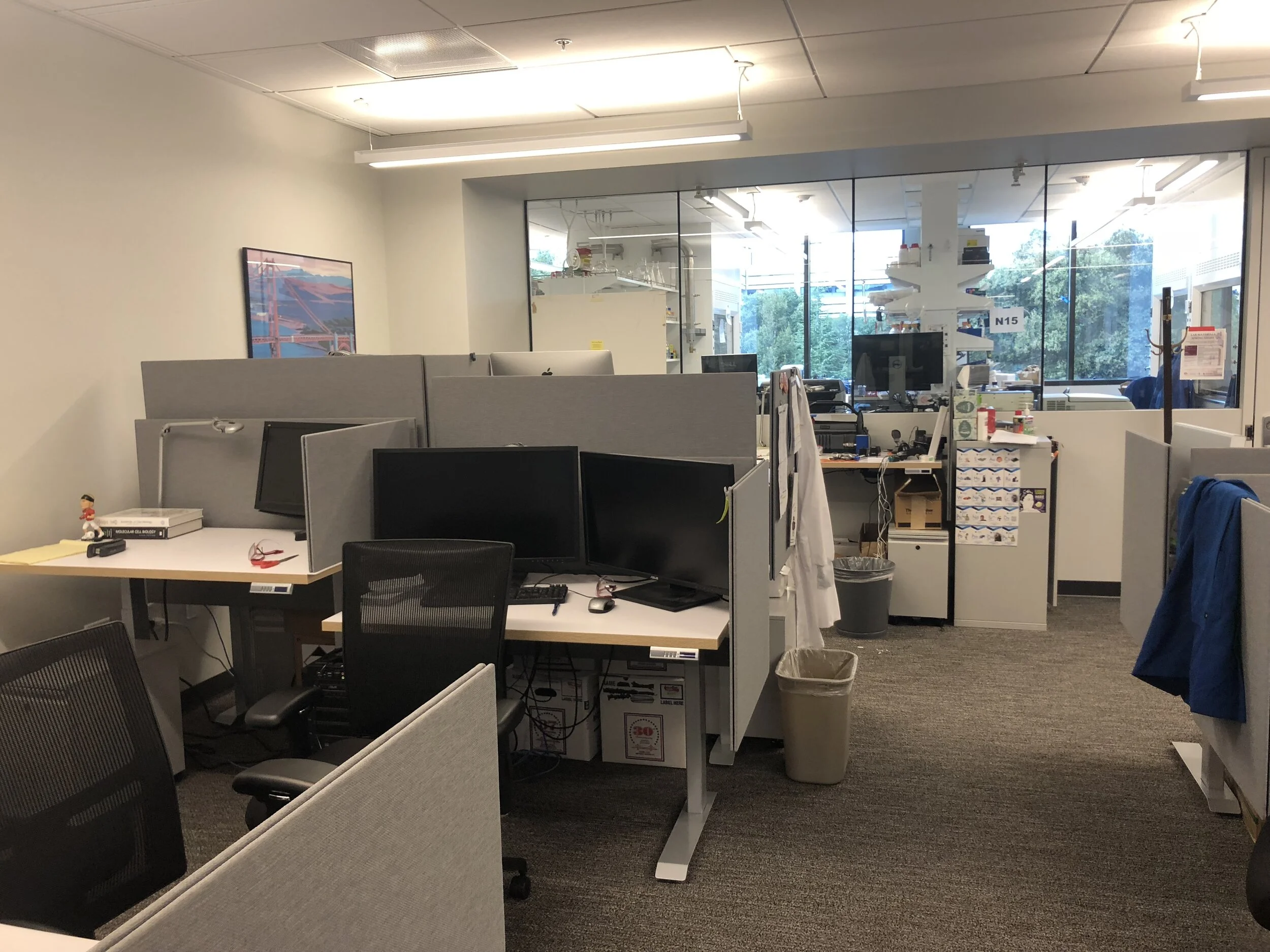 Services 1 — Bertozzi Group