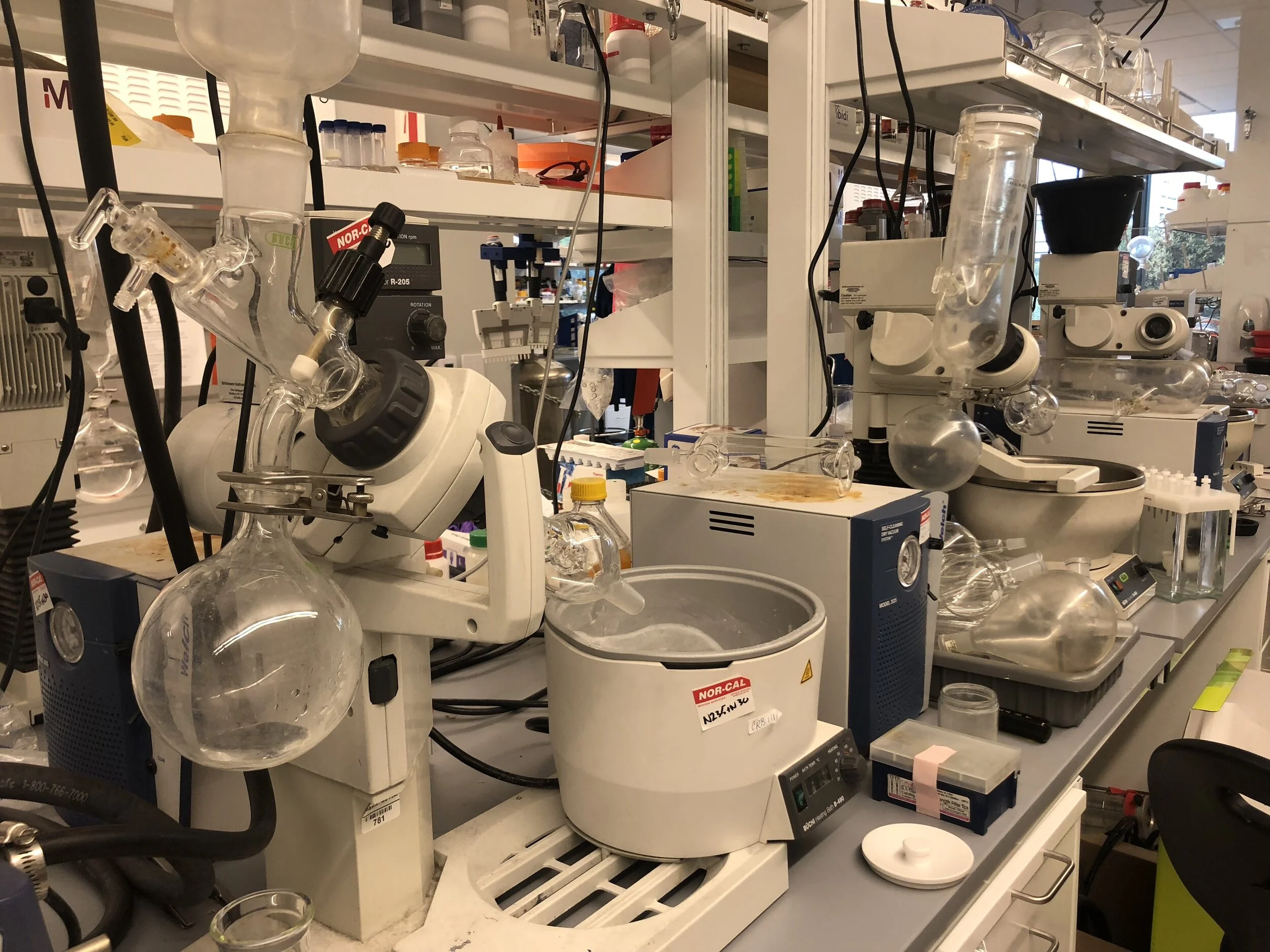 Services 1 — Bertozzi Group