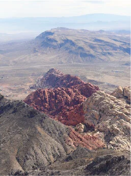 Gallery 3 — Bertozzi Group