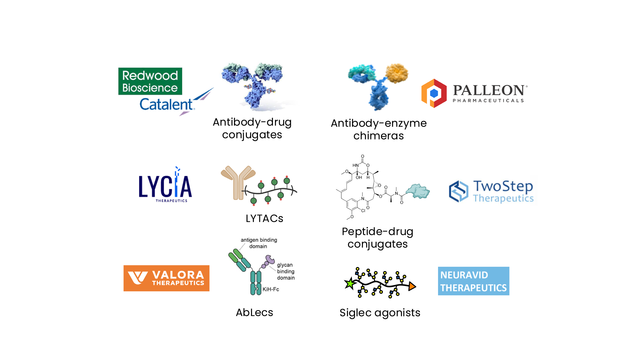 Translational Research — Bertozzi Group