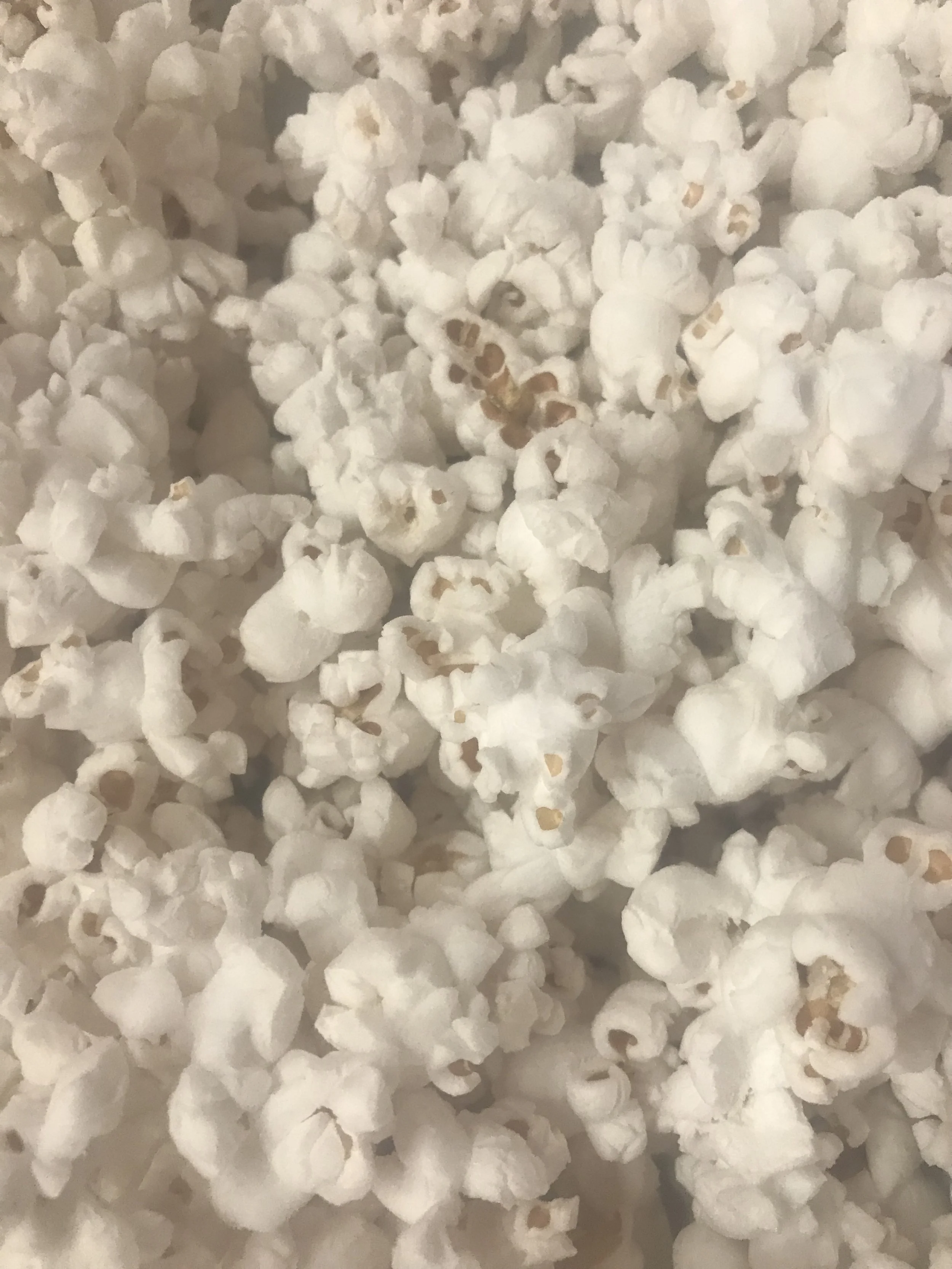 Farm Store — Berle Farm