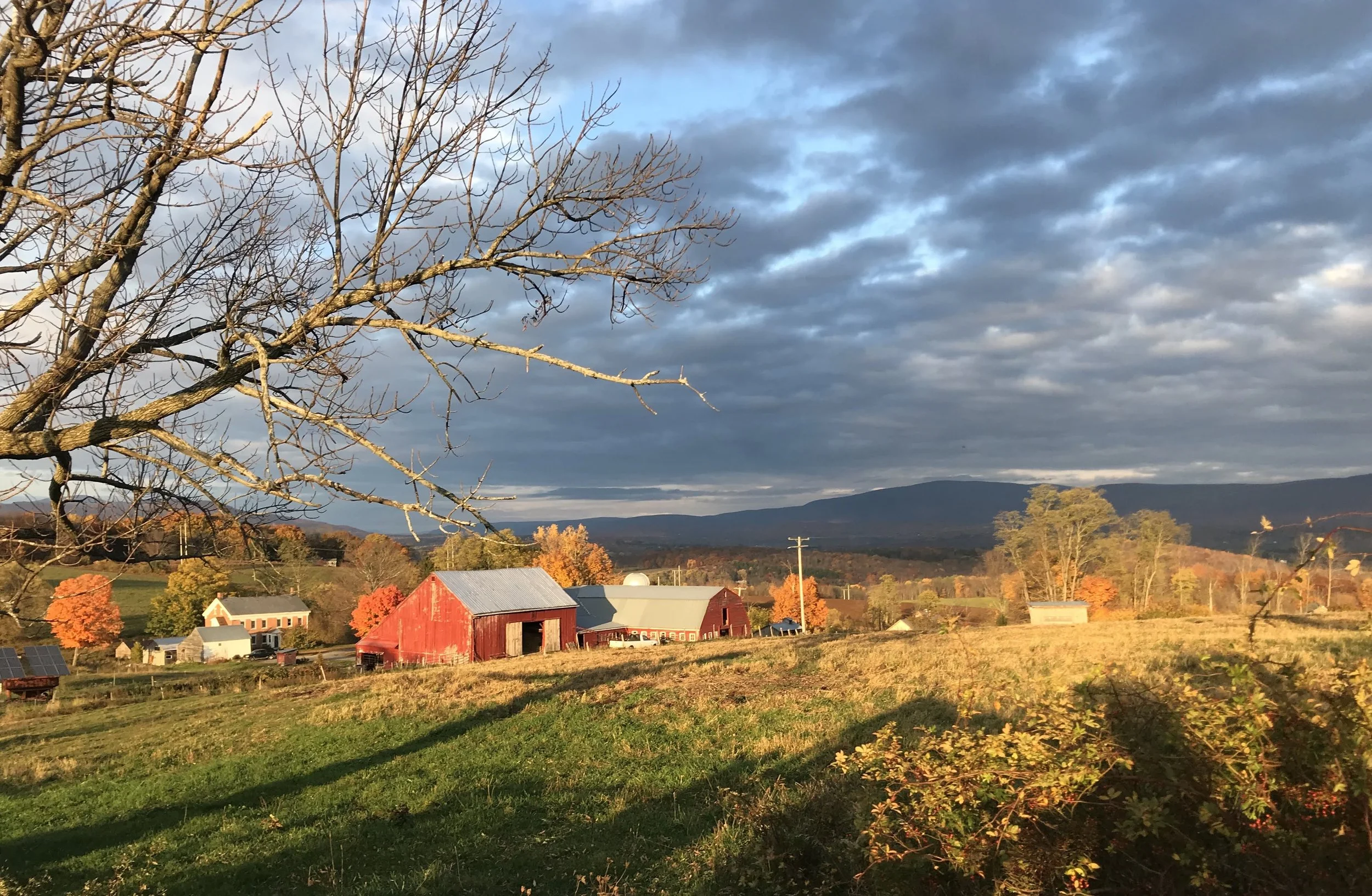 Berle Farm