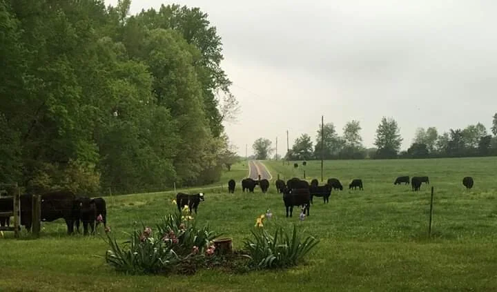 About Us — Brown Farm