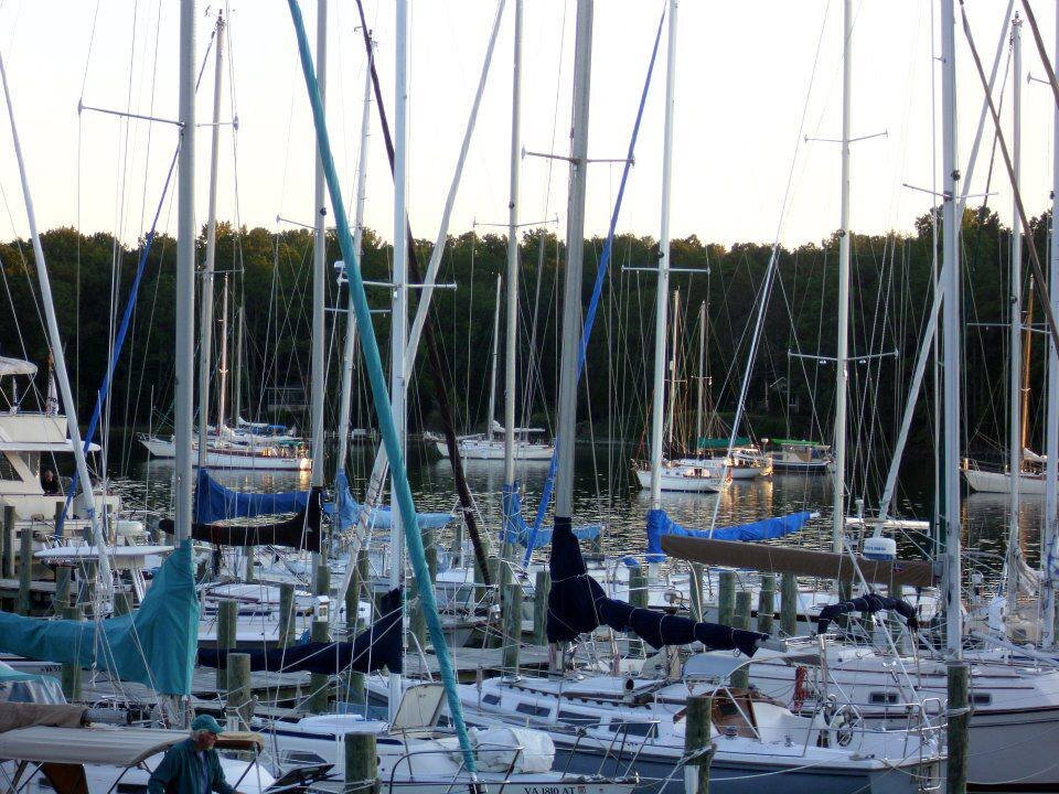 Yankee Point Marina