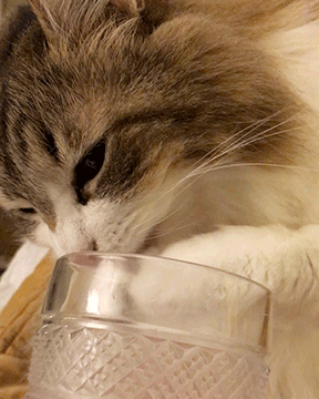 Our Team — Whole Foods Market Creative Department