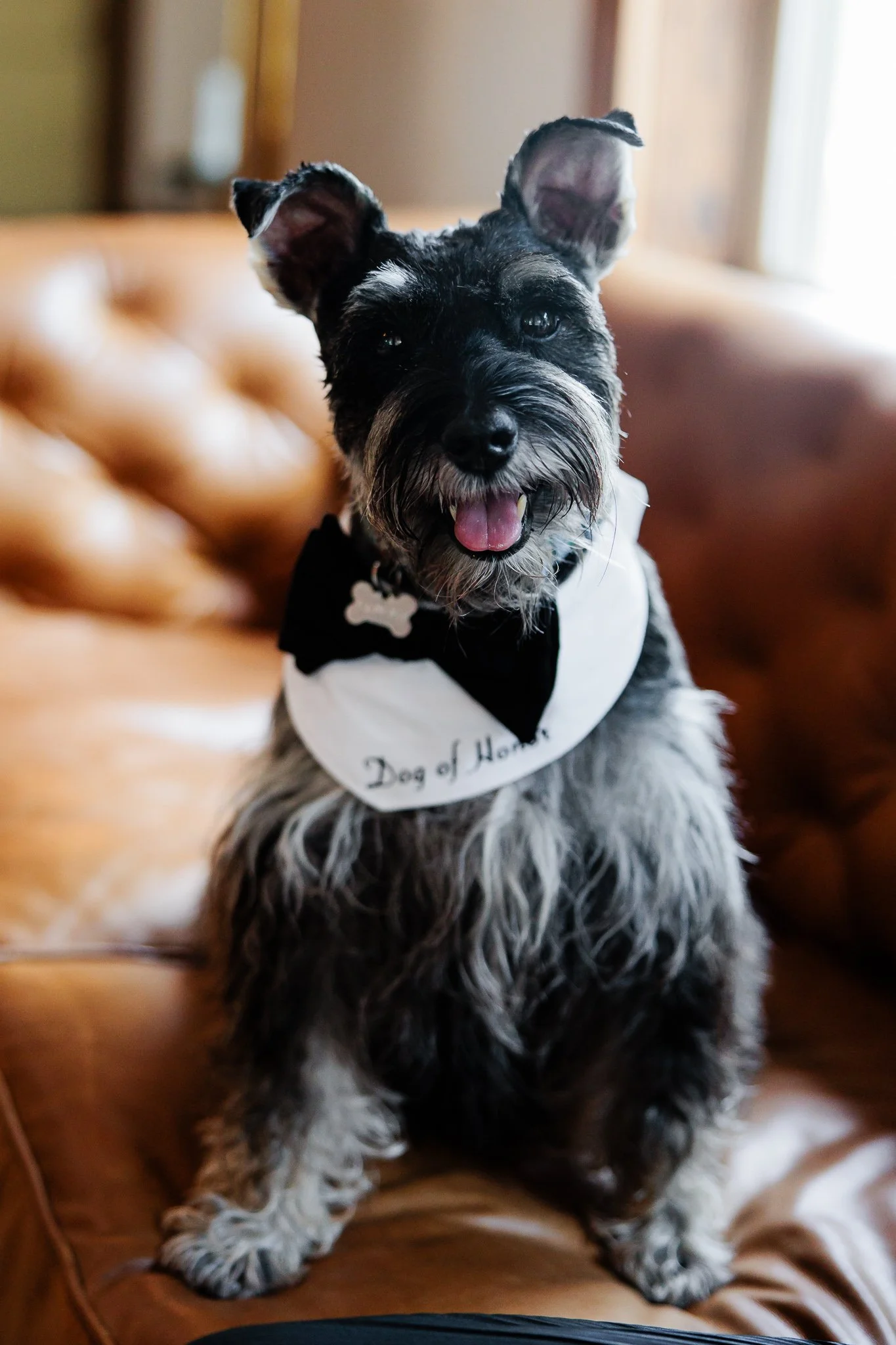 Jacee + Taylor - “All you need is love and a dog!” for the perfect Ranch Wedding — The Barn at ...