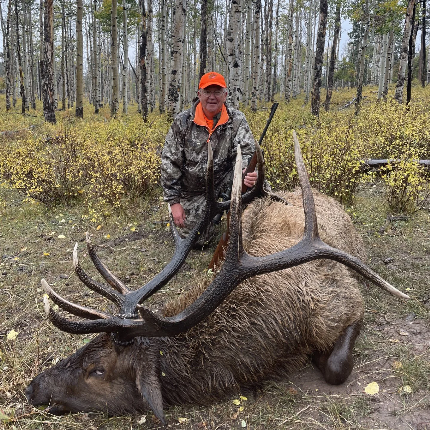Dark Timber Outfitters Elk Hunts in Colorado Units 61 and 62 — Dark ...