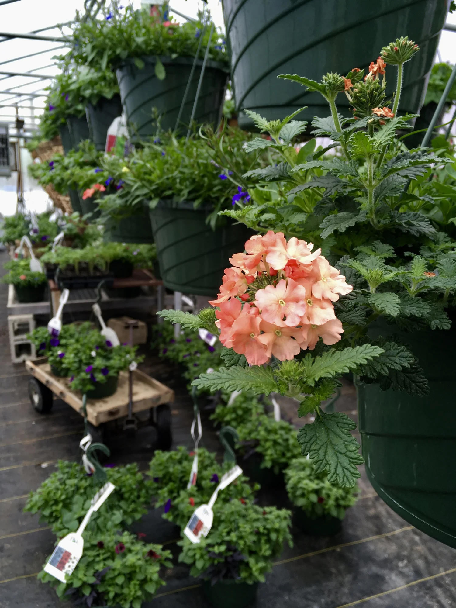 BASEHORE FARM MARKET