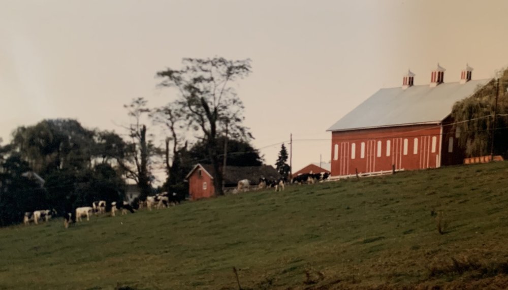 Our Heritage — BASEHORE FARM MARKET