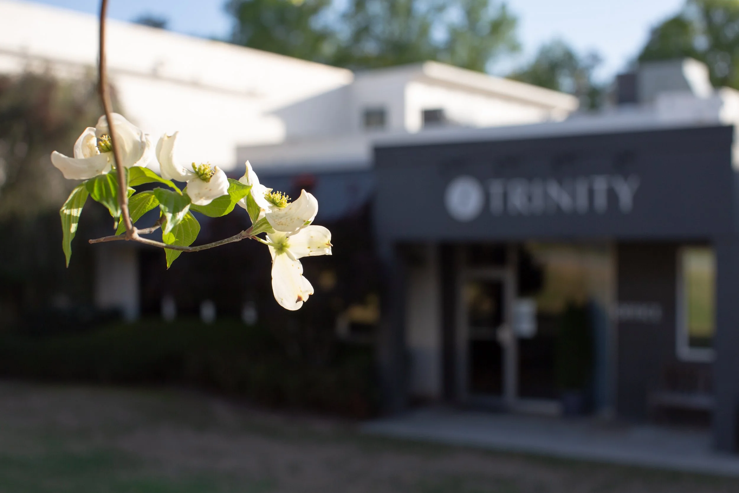 Trinity Anglican Church