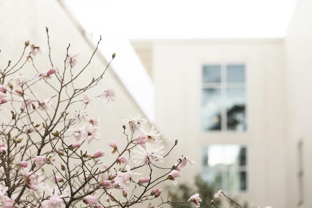 Trinity Anglican Church