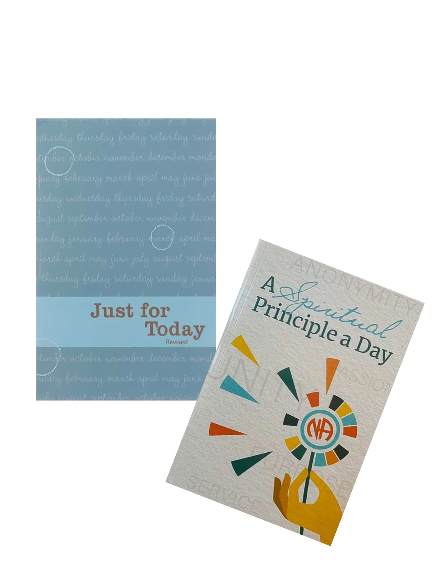 NA Literature — The Infinity Group of Narcotics Anonymous