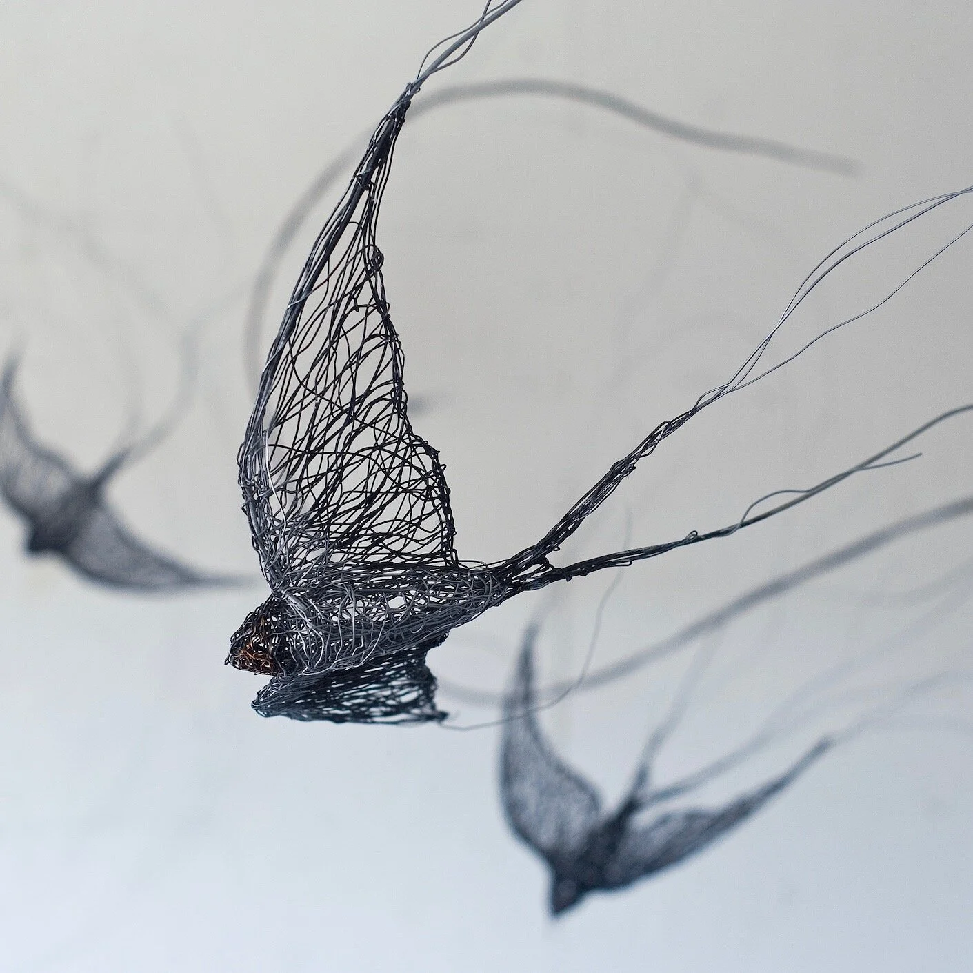 Our Makers | Celia Smith — MAKE Southwest