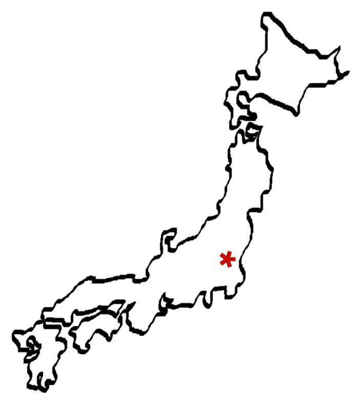 A Taste of Japan — MAKE Southwest