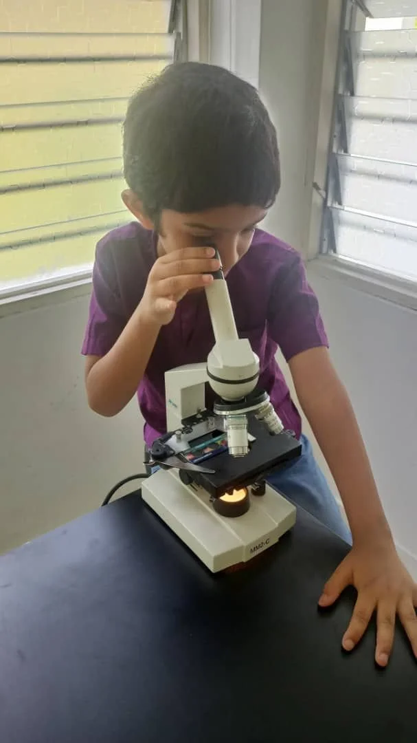 Mini scientists at work!🔬🌱 — Pelita International