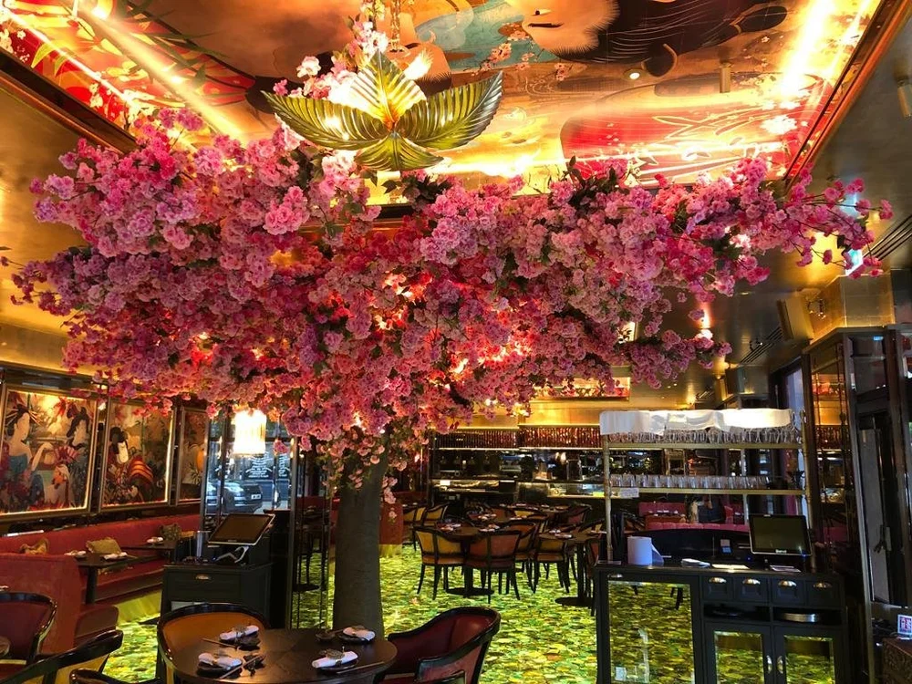 Portfolio — S2 Events Ltd