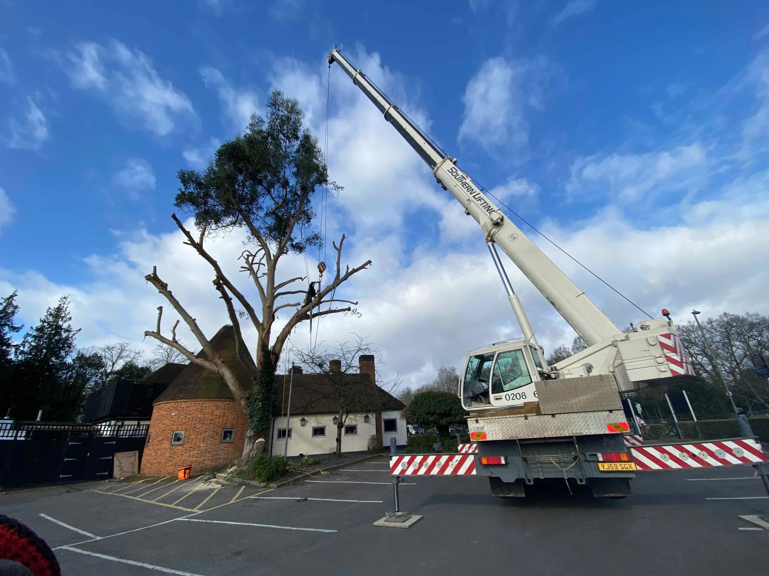 Gallery | Blue Cedar Tree Surgeons