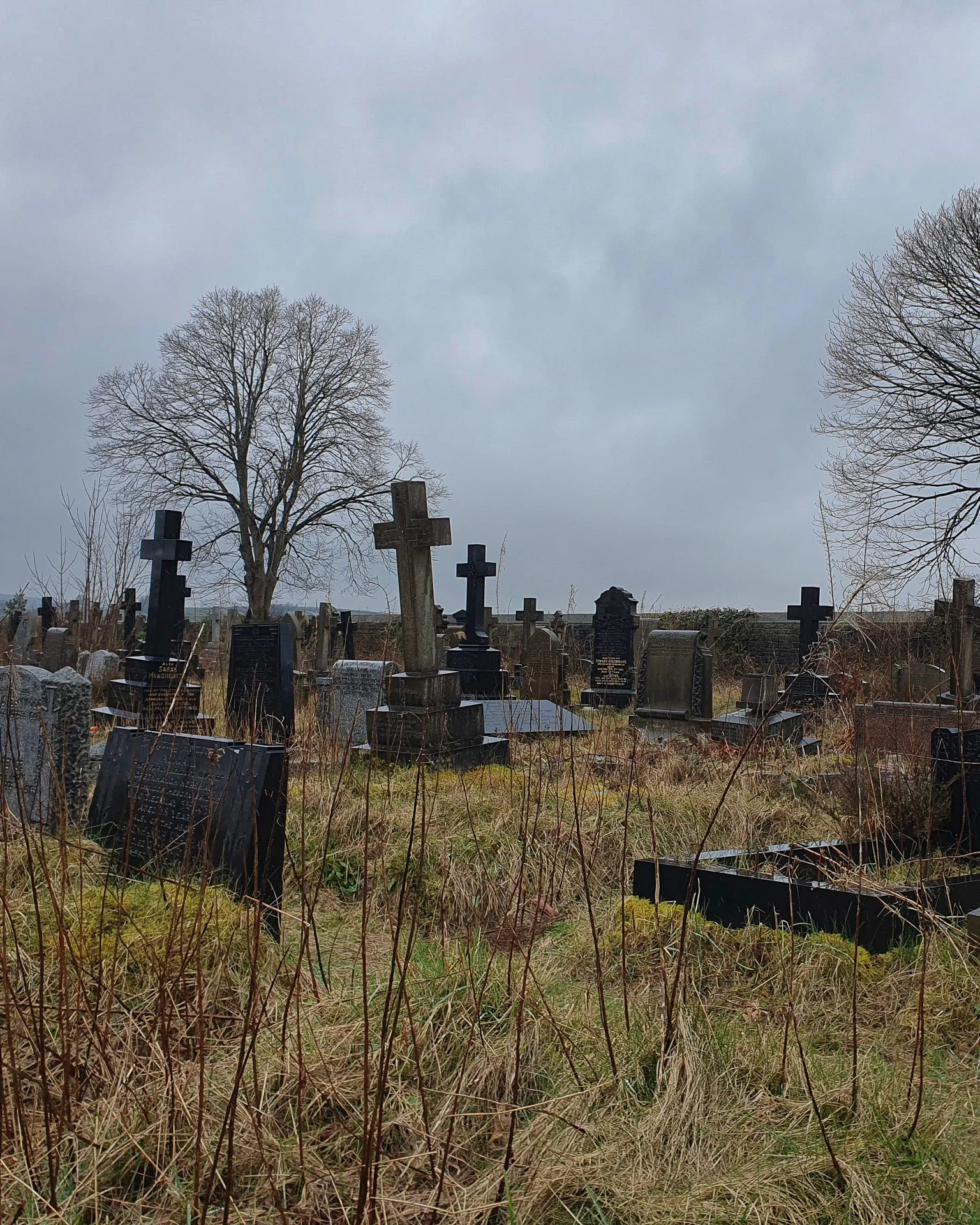 Writing alongside painting — Mark Lambert Visual Arts