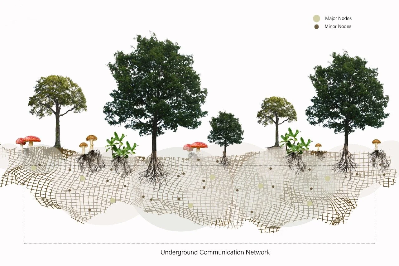 General 1 — CCS CMD Material Lab
