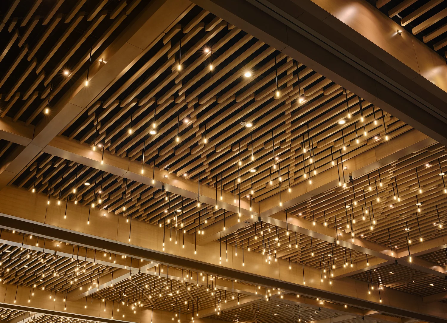 Calgary Projects | BMO Centre | Culture + Entertainment District