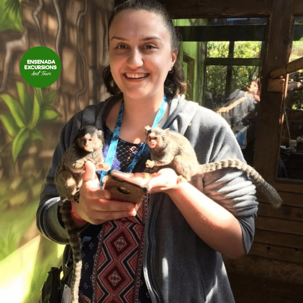 Pai Pai Ensenada Tour | Unique Cultural Experience