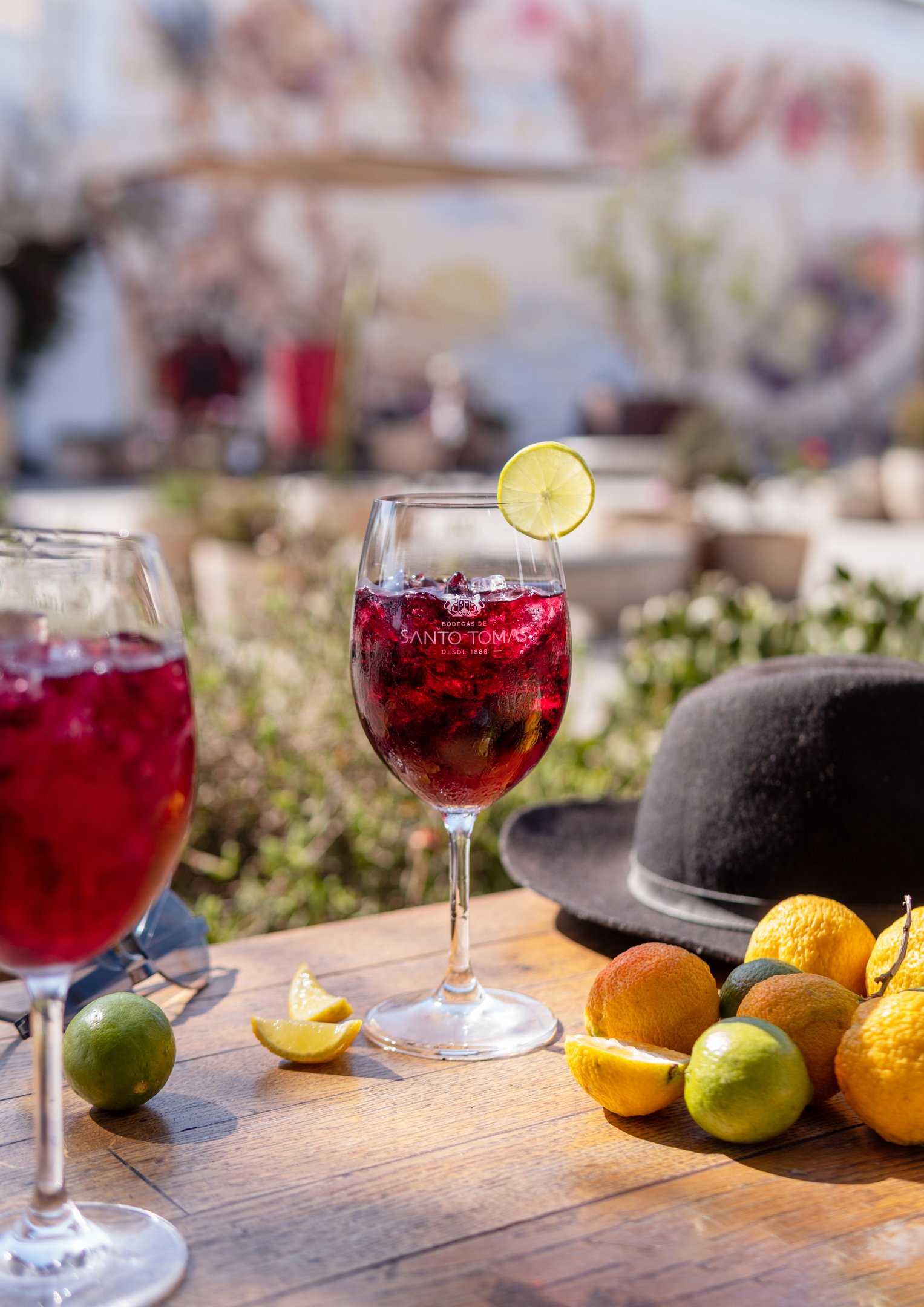 Ensenada Wine Tours | Tastings Near Port and Wine Country Options