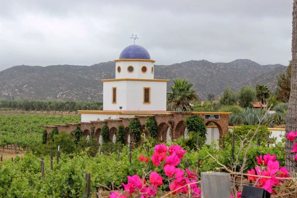 Ensenada Excursions and Tours