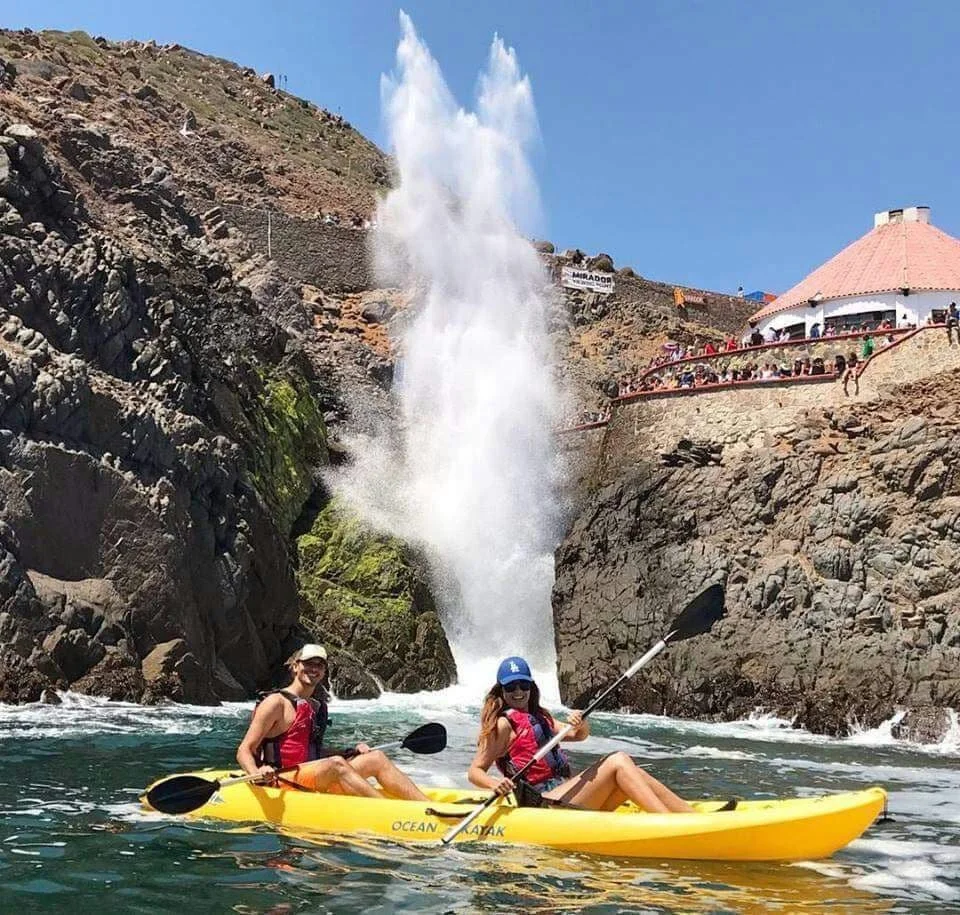 Ensenada Shore Excursions & Private Tours | Port Pickup, Valle & San ...