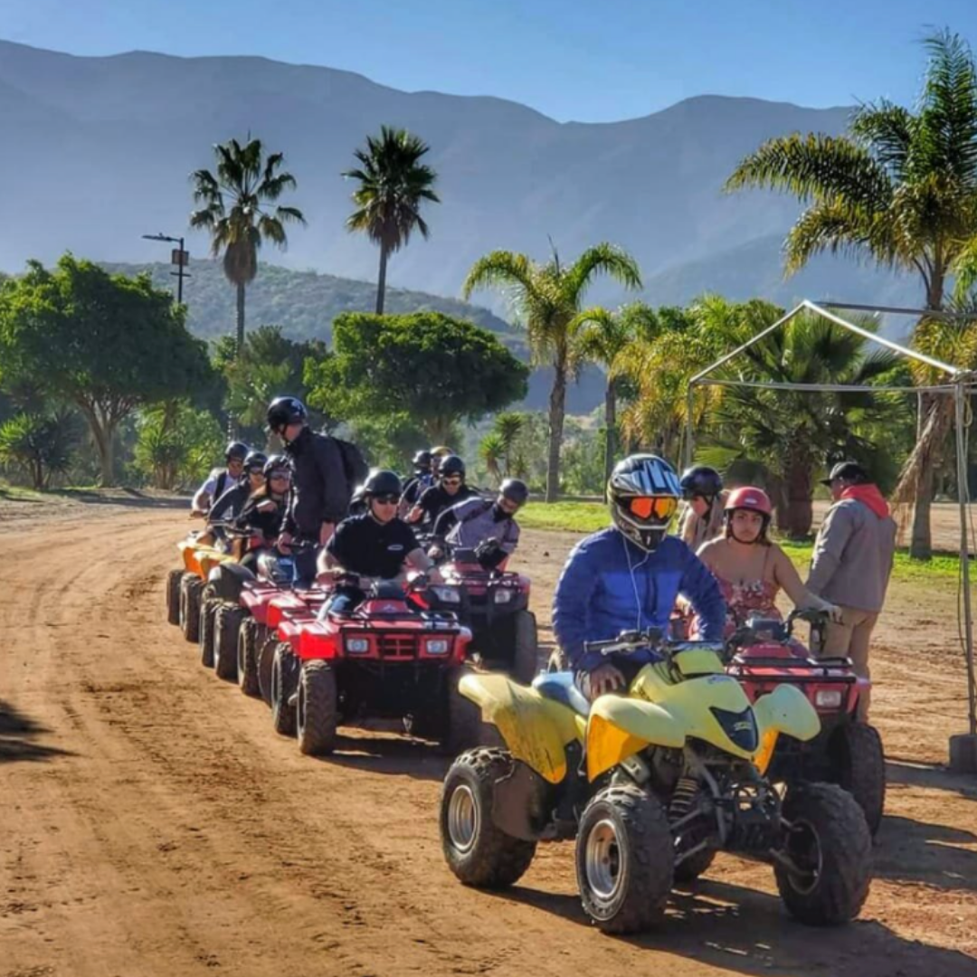 Ensenada Excursions & Tours | Cruise Excursions & Transportation