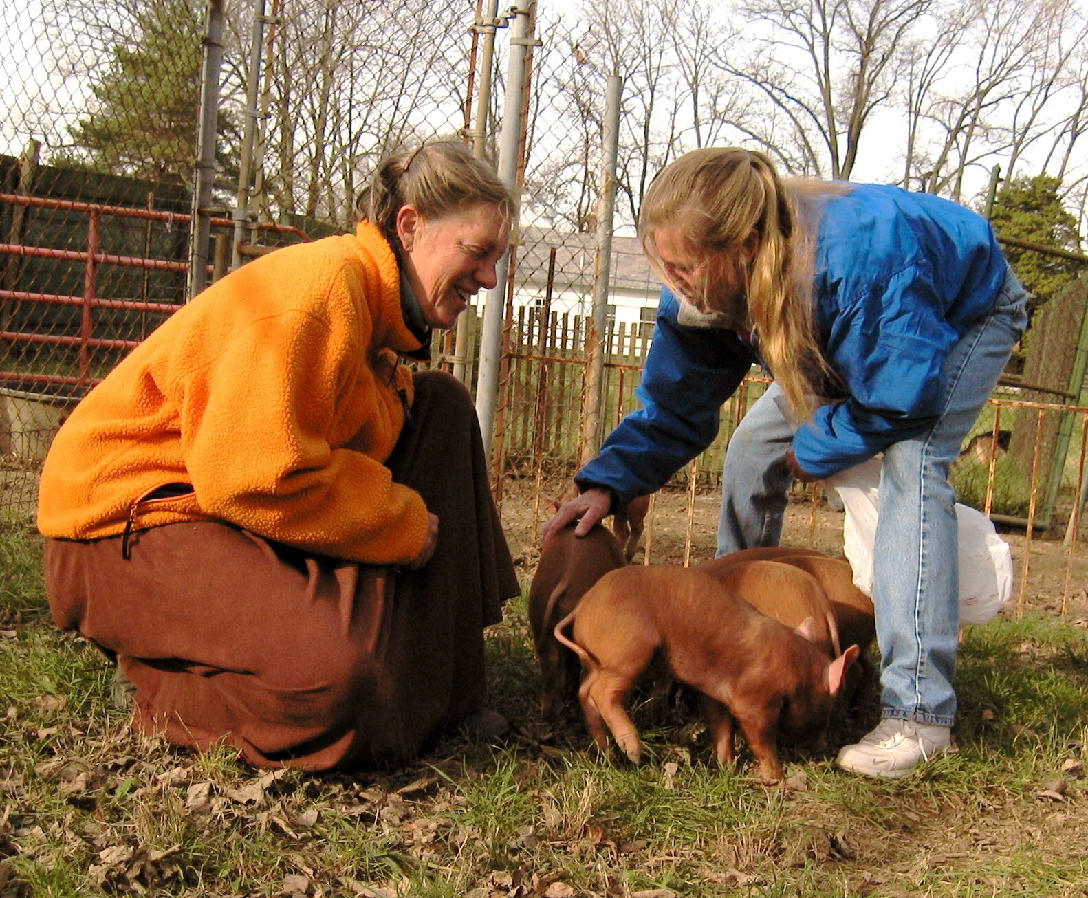 Organic Farming in Cincinnati — Turner Farm