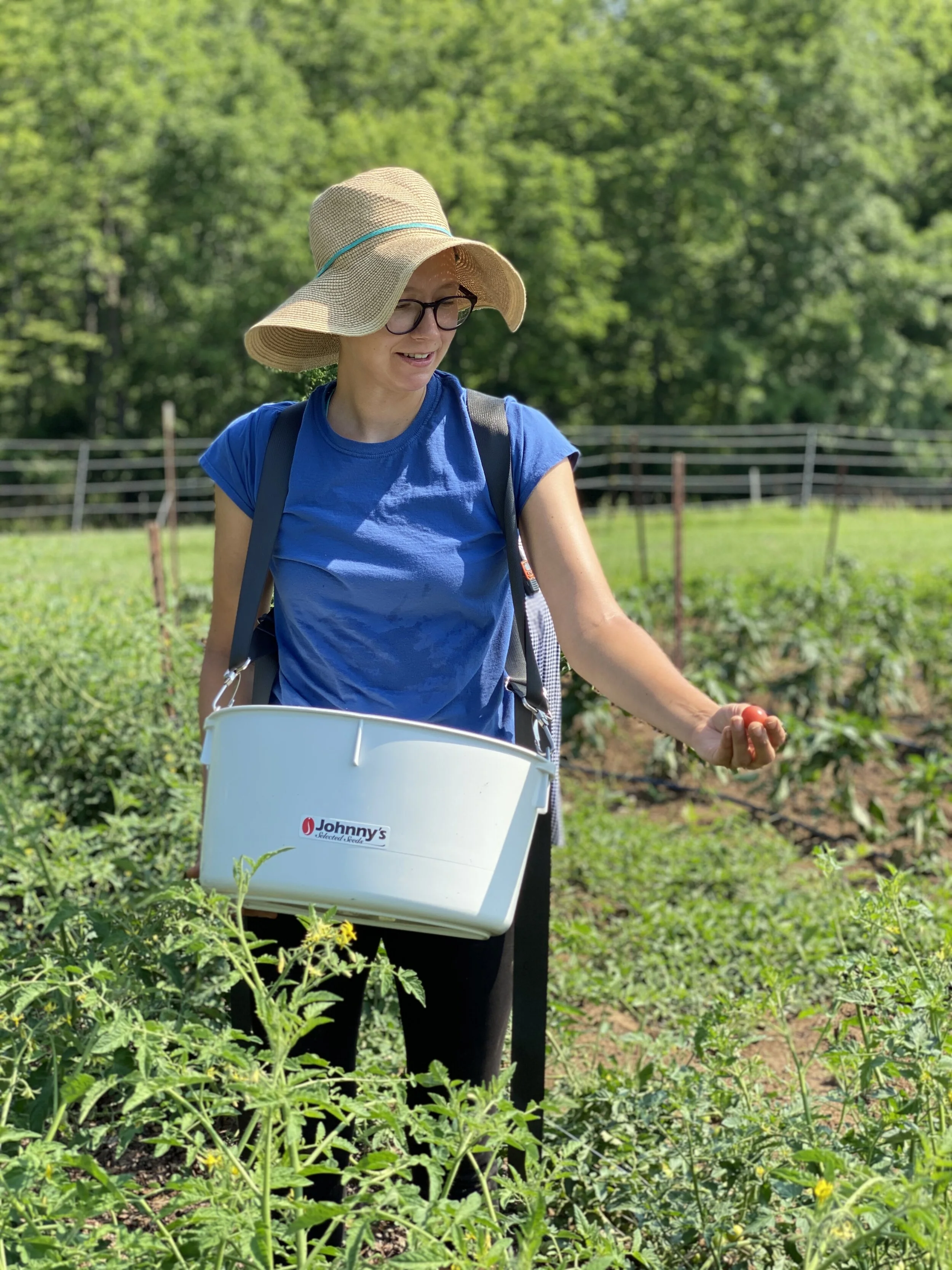 Farm Jobs — Turner Farm